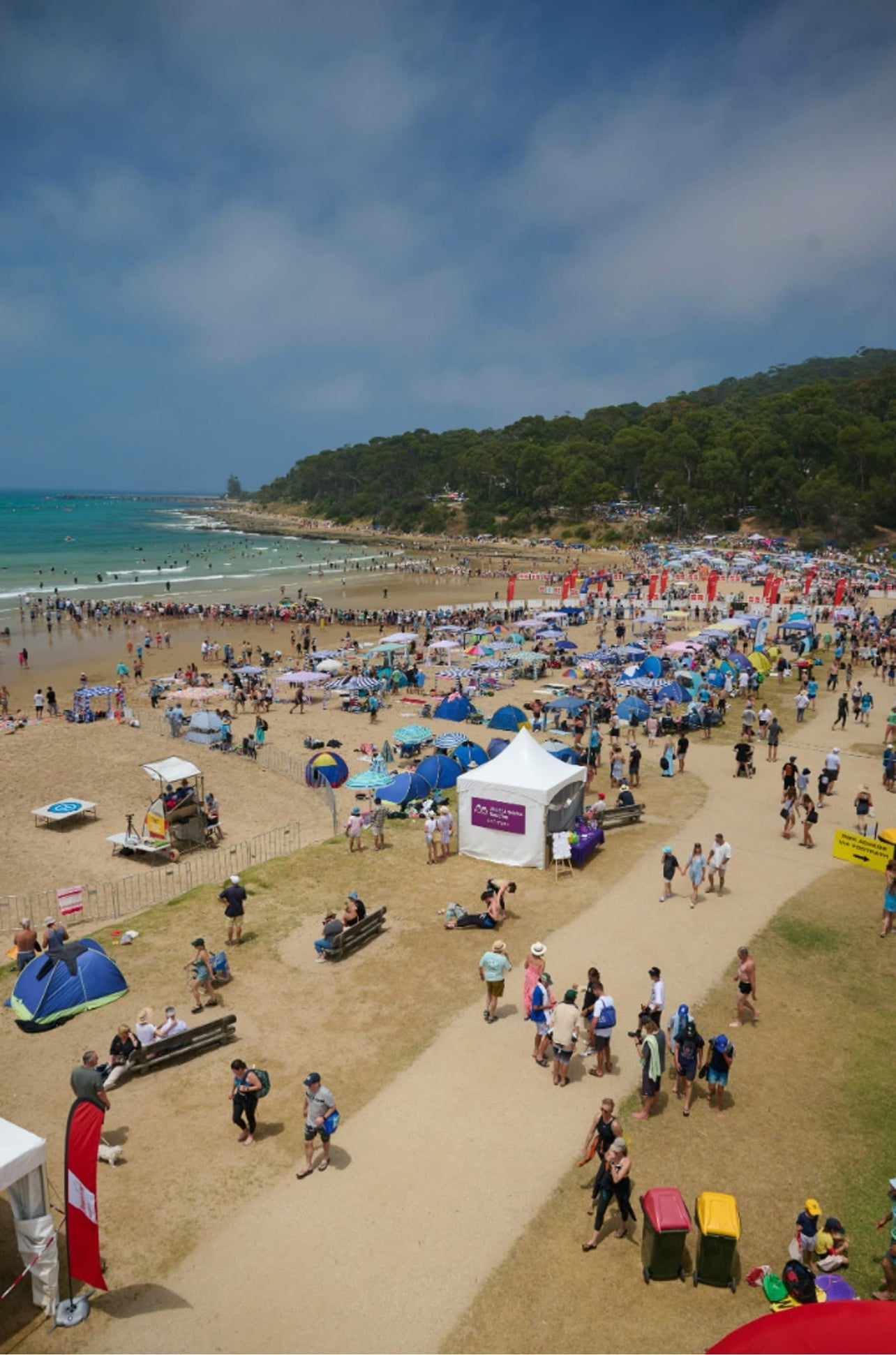 Lorne Surf Club
